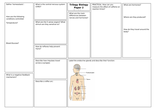 AQA Biology Paper 2 Revision (Combined Science) | Teaching Resources
