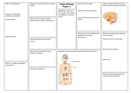 AQA Biology (Triple) Revision Grids | Teaching Resources