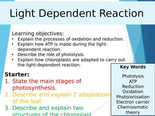 AQA A Level Biology 11.2 - The Light Dependent Reaction | Teaching ...