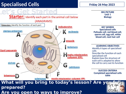 BTEC L3 Applied Science Unit 1 Biology | Teaching Resources