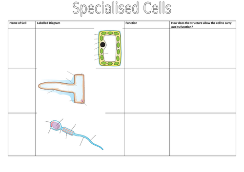 Btec L3 Applied Science Unit 1 Biology Teaching Resources