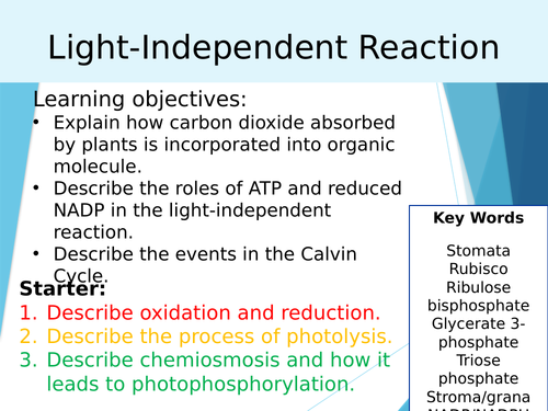 AQA A Level Biology 11.3 - The Light Independent Reaction | Teaching ...