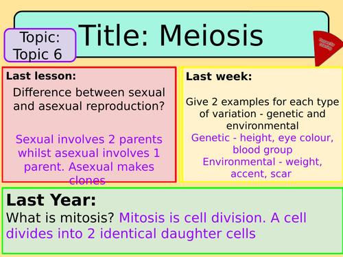 AQA Combined Science: Triology - Topic 6 - L2 Meiosis | Teaching Resources