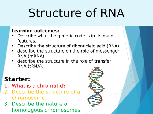 AQA AS Biology 8.3 - Structure of Ribonucleic Acid | Teaching Resources
