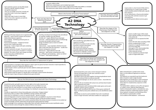 A2 Biology - Completed DNA Technology Revision Mat | Teaching Resources