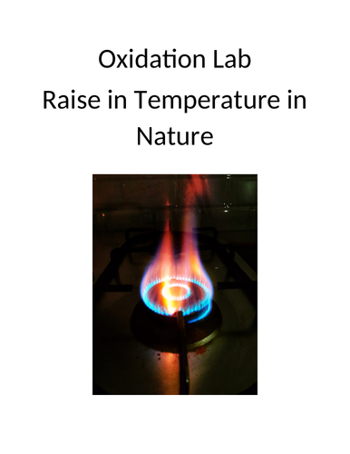 Chemistry, Oxidation Exothermic 2 Labs | Teaching Resources
