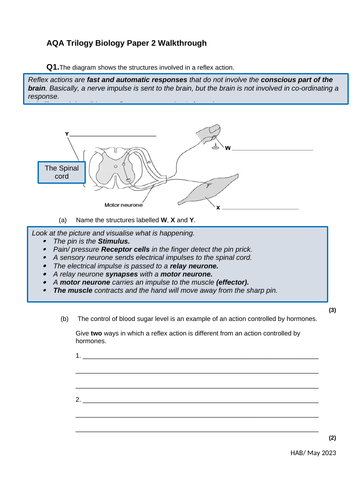 AQA Trilogy Paper 2 predicted paper walkthroughs, exam question ...