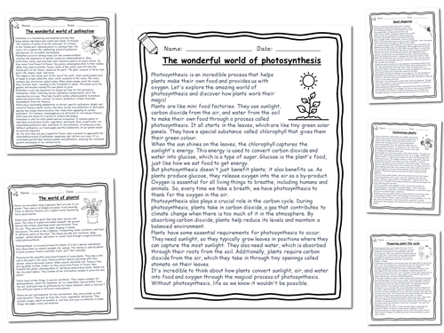Y3 - Y6 Plants Reading Comprehension - Science revision | Teaching ...