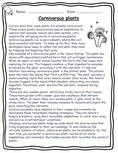 Y3 - Y6 Plants Reading Comprehension - Science revision | Teaching ...