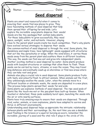 Y3 - Y6 Plants Reading Comprehension - Science revision | Teaching ...