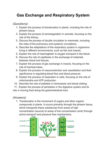 CONCISE A* A Level Biology Topic 3 Immune System & Gas Exchange ...