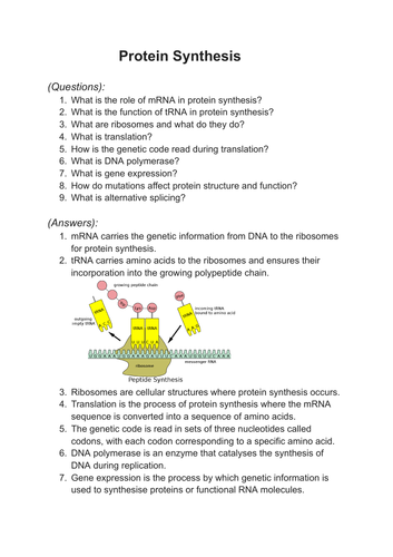 CONCISE A* A Level Biology Topic 4 Protein Synthesis & Genetic ...
