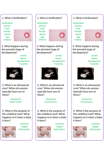 Prenatal stage of development activity - Year 5 KS2 - Animals including ...