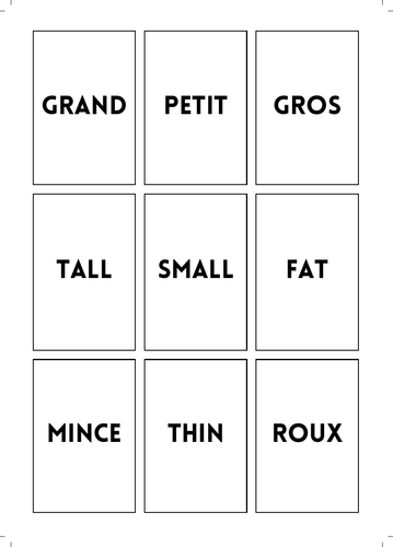 Carousel lesson - La famille | Teaching Resources