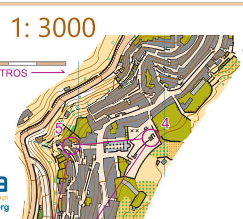Orienteering PPP 7 & 8 - Symbols - Quiz One and Two | Teaching Resources