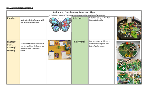 Minibeasts Continuous Provision Plan Bundle | Teaching Resources Minibeasts Continuous Provision Plan Bundle | Teaching Resources