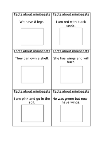 Minibeasts Continuous Provision Plan Bundle | Teaching Resources Minibeasts Continuous Provision Plan Bundle | Teaching Resources