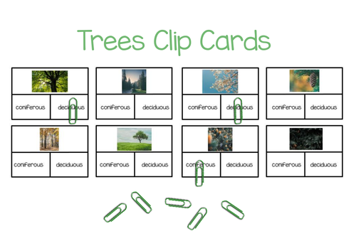 Trees Clip Cards | Teaching Resources