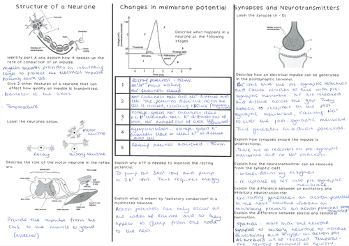 EDEXCEL BIOLOGY UNIT 5 REVISION MATS WITH ANSWER SHEET | Teaching Resources