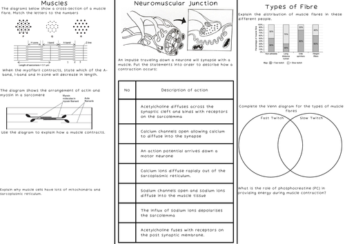 EDEXCEL BIOLOGY UNIT 5 REVISION MATS WITH ANSWER SHEET | Teaching Resources