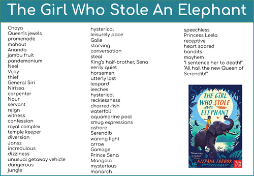 The Girl Who Stole An Elephant vocabulary | Teaching Resources