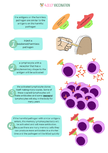 Vaccination | Teaching Resources
