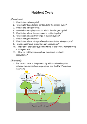 CONCISE A* A Level Biology Topic 5 Photosynthesis, Respiration & Energy ...