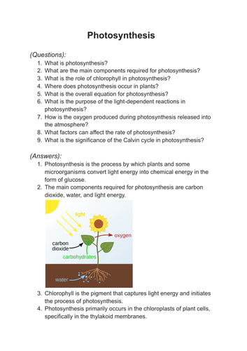 CONCISE A* A Level Biology Topic 5 Photosynthesis, Respiration & Energy ...