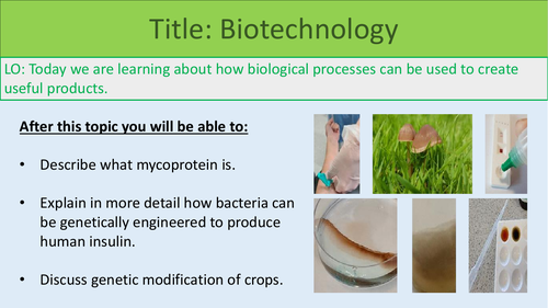 Biotechnology Lesson GCSE Biology | Teaching Resources