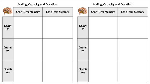 A-Level Psychology - CODING, CAPACITY AND DURATION [Memory Topic] | Teaching Resources