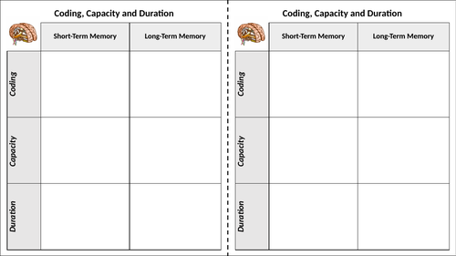 A-Level Psychology - CODING, CAPACITY AND DURATION [Memory Topic] | Teaching Resources
