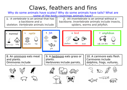 Y1 knowledge organiser for the science topic - animals | Teaching Resources