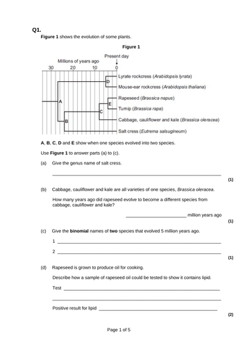 AQA Biology Paper 2 Revision | Teaching Resources