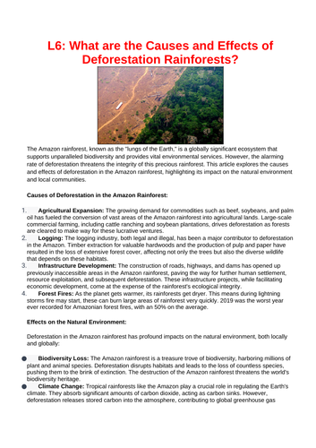 Deforestation Rainforests | Teaching Resources