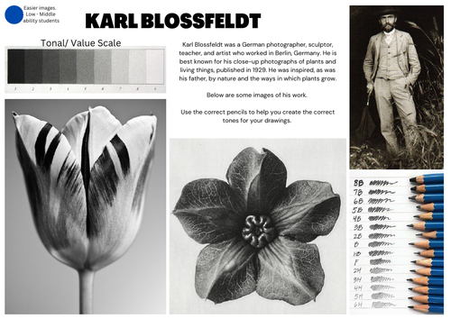 Botanical Forms, Karl Blossfeldt - Art Teacher Resources | Teaching ...