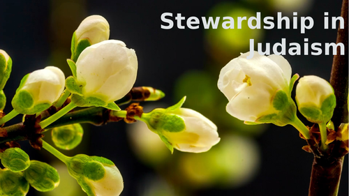 Stewardship of Creation | Teaching Resources