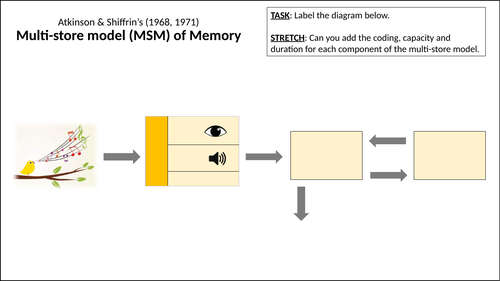 A-Level Psychology - THE MULTI-STORE MODEL OF MEMORY [Memory Topic ...
