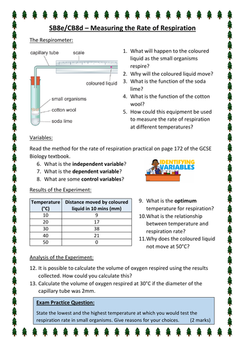 SB8e/CB8d - Respiration Core Practical (Edexcel) | Teaching Resources