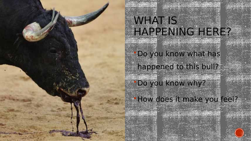 Bullfighting - Spanish Culture | Teaching Resources