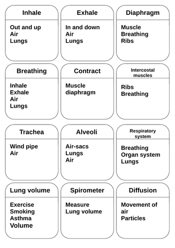 Respiratory system | Teaching Resources