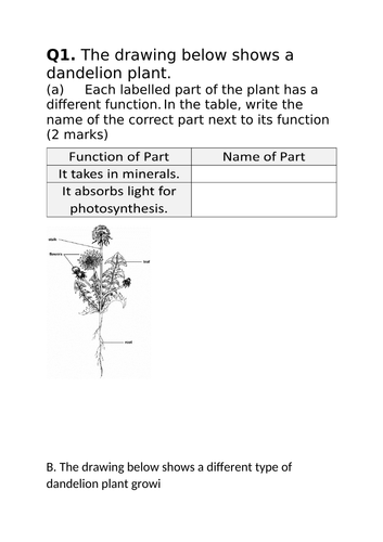Plant structure | Teaching Resources