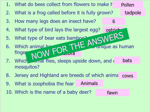 Unleash the Fun: End of School Year Quiz (Primary)-2023 | Teaching ...