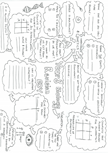 Year 8 Science Revision Sheet Bundle | Teaching Resources