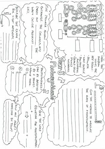 Year 8 Science Revision Worksheet Teaching Resources - vrogue.co Year 8 Science Revision Worksheet Teaching Resources - vrogue.co