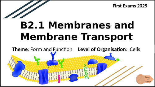 IB Biology B2.1 Membranes and Membrane Transport - First Exams 2025 ...