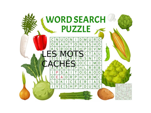 LES MOTS CACHÉS | Teaching Resources