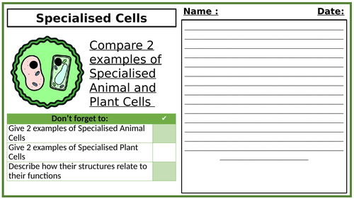 BUNDLE (11) - KS3 Science 6 Mark Questions with Markscheme (Year 7 ...