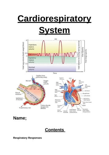 Unit 1; Sport and Exercise Physiology | Teaching Resources