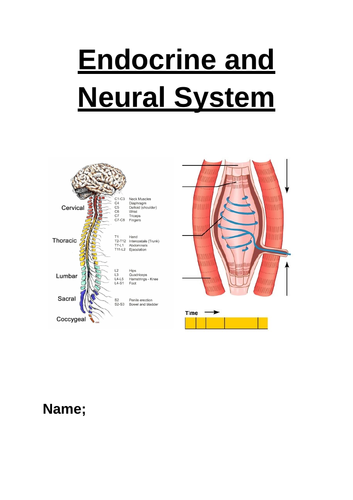Unit 1; Sport and Exercise Physiology | Teaching Resources