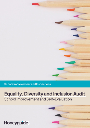 Equality, Diversity and Inclusion Audit Pack | Teaching Resources